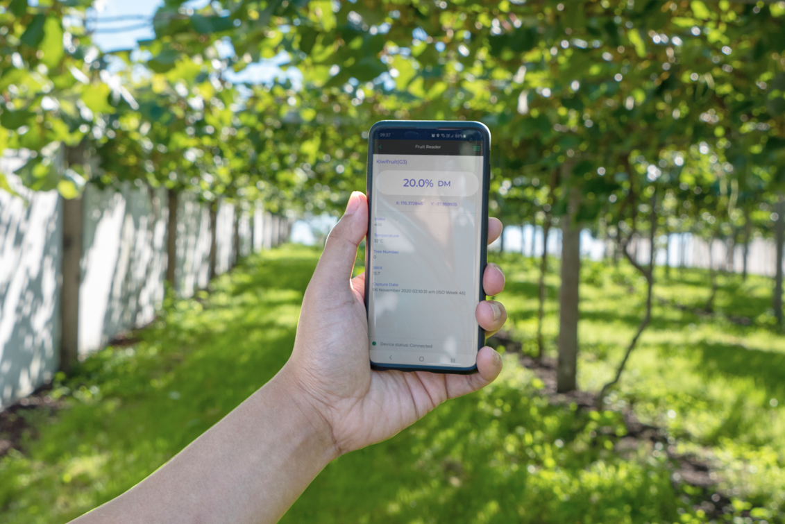 Landkind and Sunforest